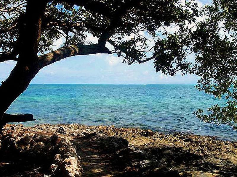 The crystal clear waters of the Keys are something that has to be seen ...