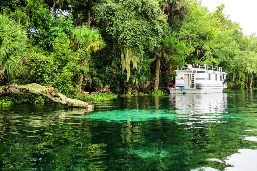 Florida Unspoiled - the St Johns River Experience