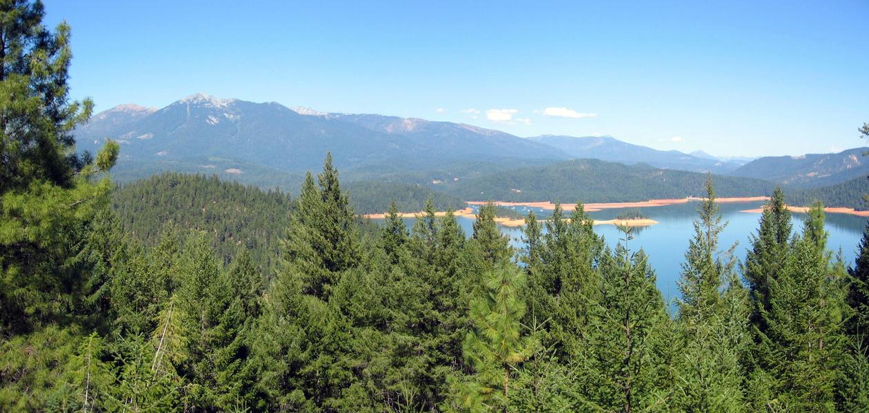 The Quiet Beauty of Trinity Lake California